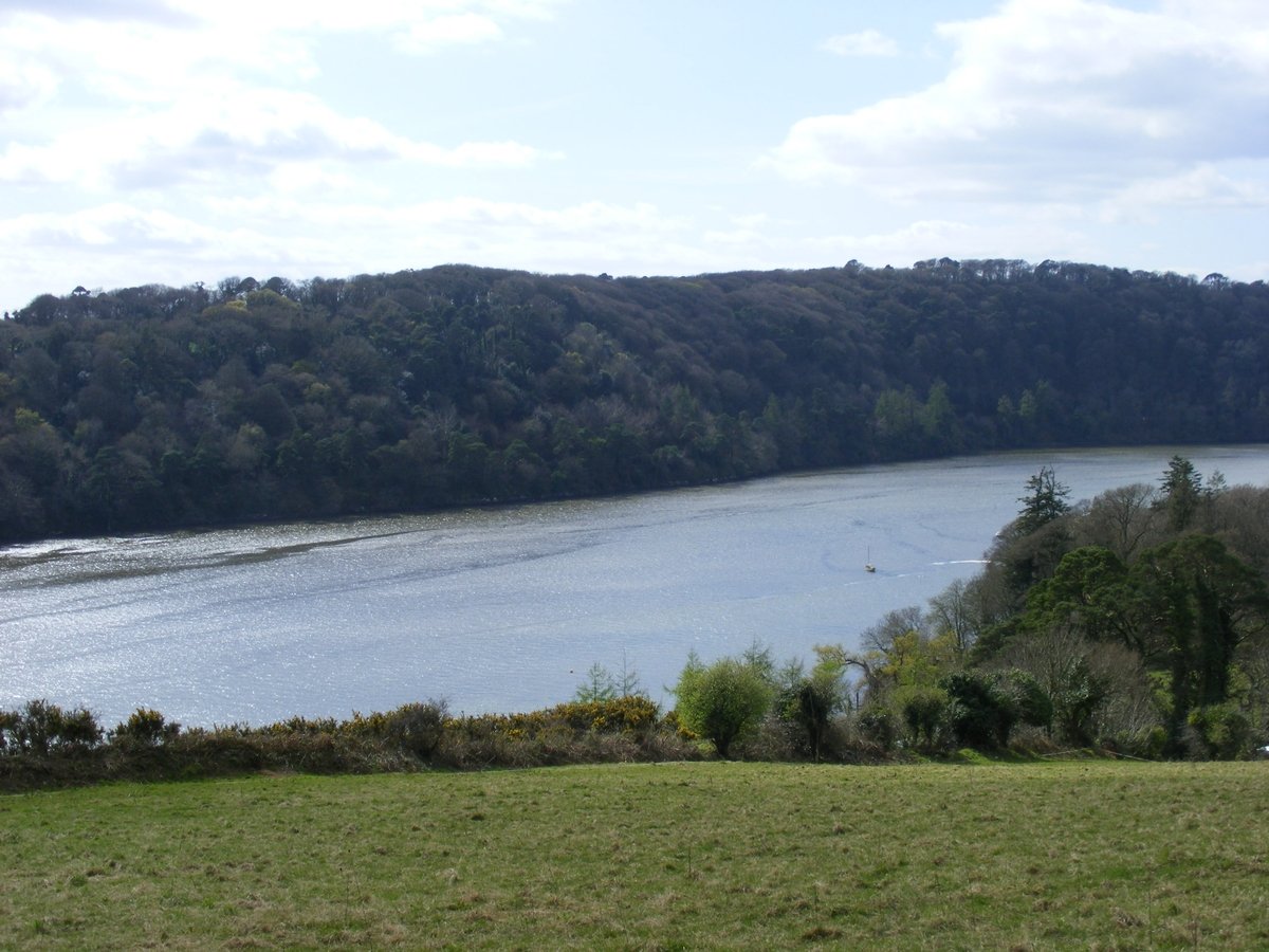 EPA report finds nearly half of Irish water is not in satisfactory ...