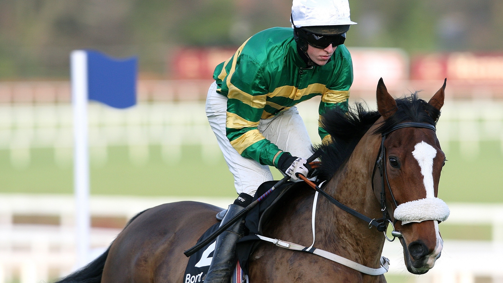 Cee Bee on track for Champion Chase