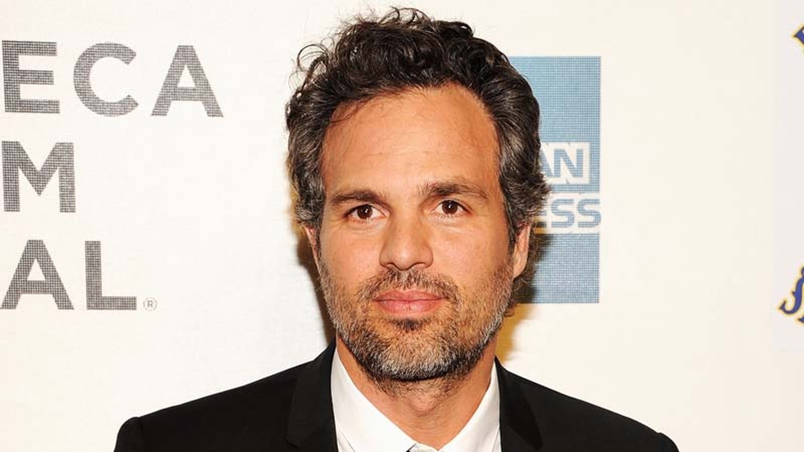 Hulk writer keen for Ruffalo solo film