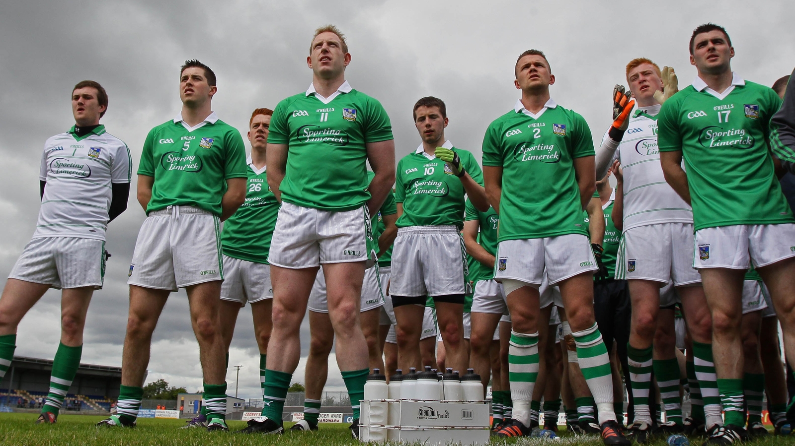 McGeehin joins Limerick backroom