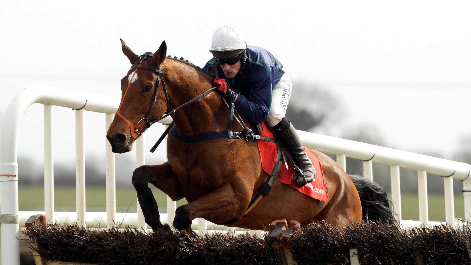Taaffe pair on course for Aintree bid