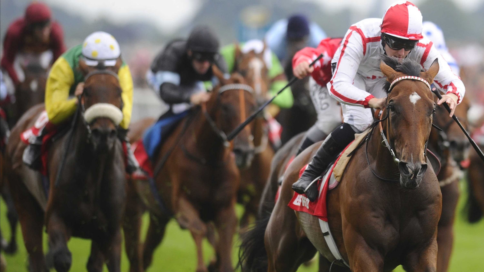 Tiger Cliff takes Ebor gold