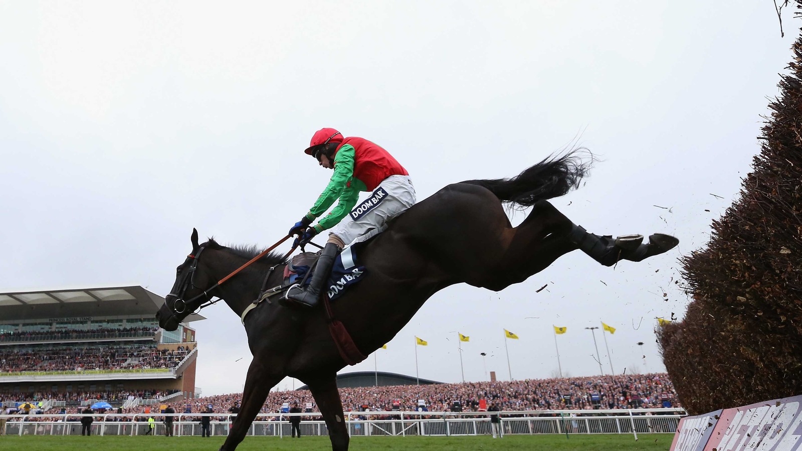 Balder heads field of 10 for Tingle Creek