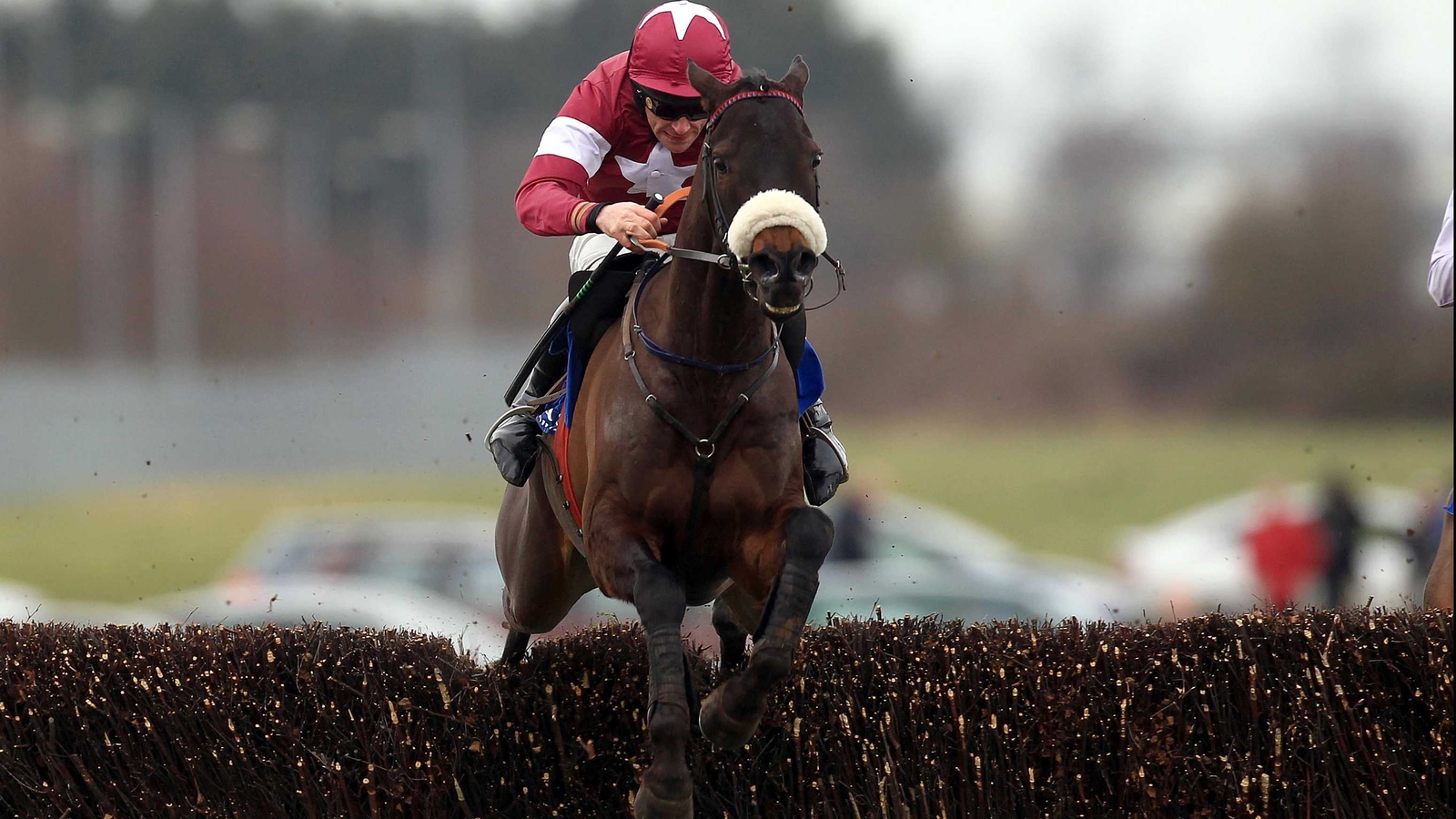 Bryan Cooper plots Roi Du Mee success