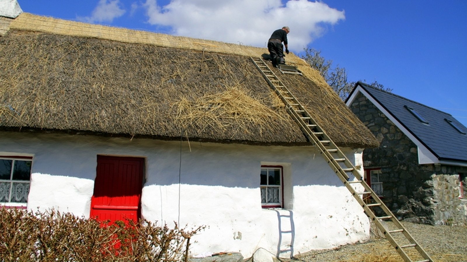 Call for more thatching courses to save 'unique' craft