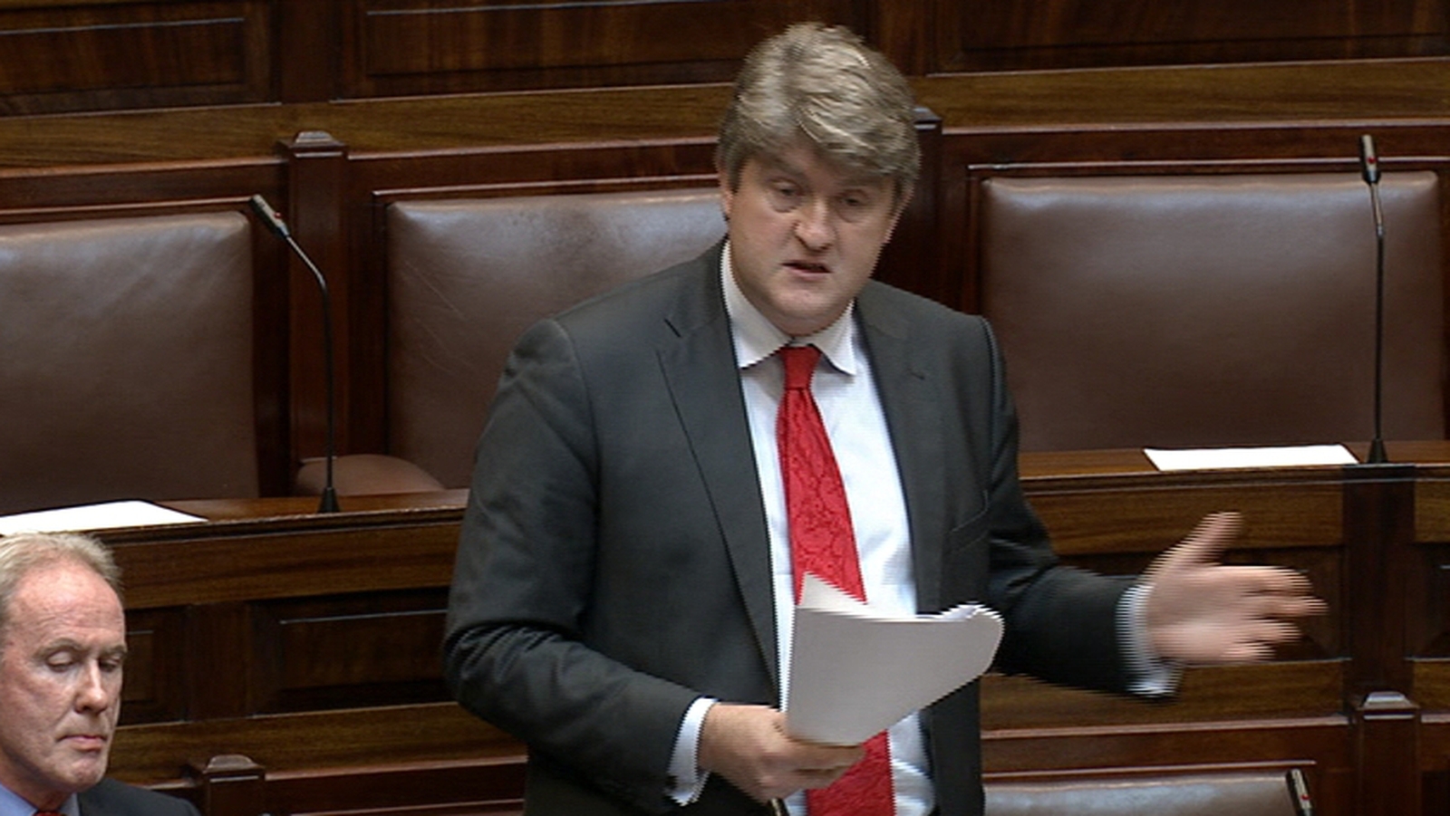 TD criticises lack of scrutiny of asylum bill