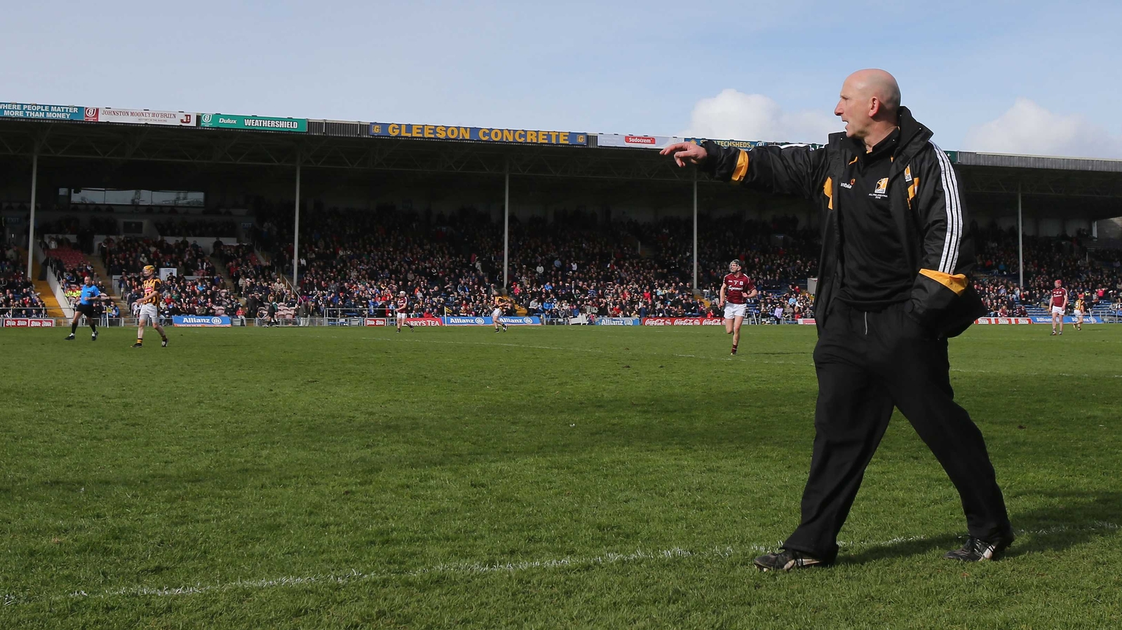 Martin Fogarty named as hurling development boss