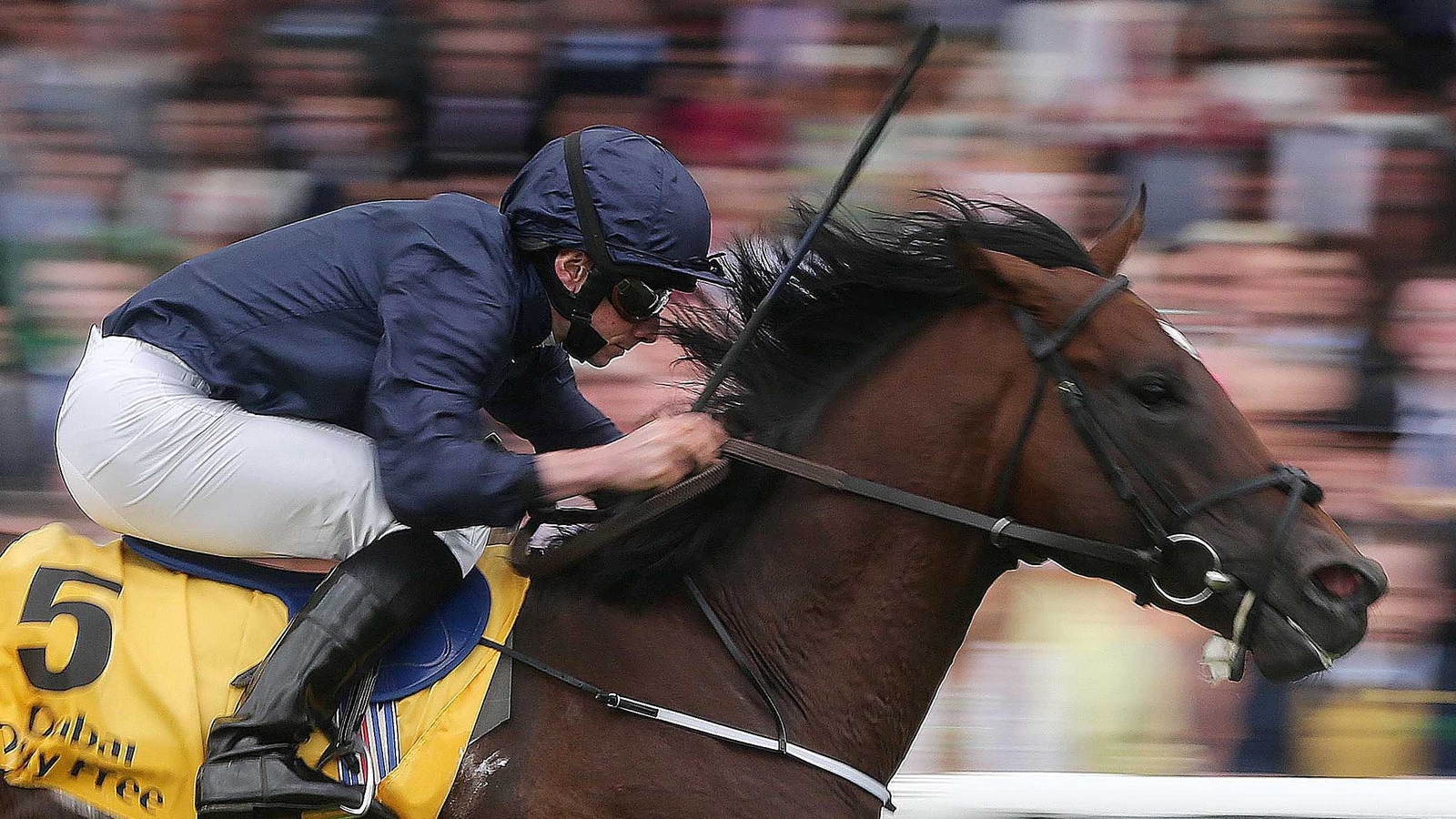 Intelligence Cross set for Middle Park