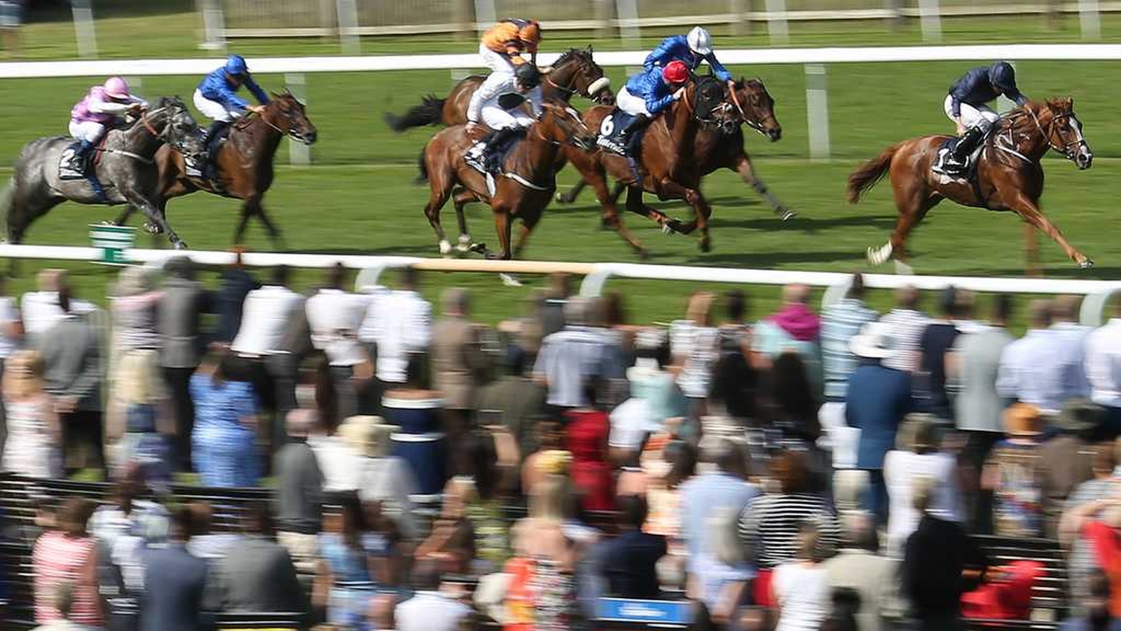 Alice Springs bursts to Matron Stakes victory