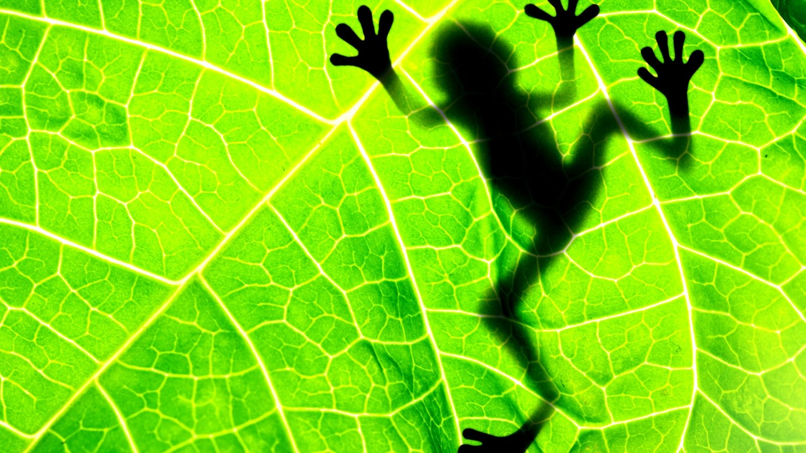 Get Creative: On writing poetry - pinning the poem to the page