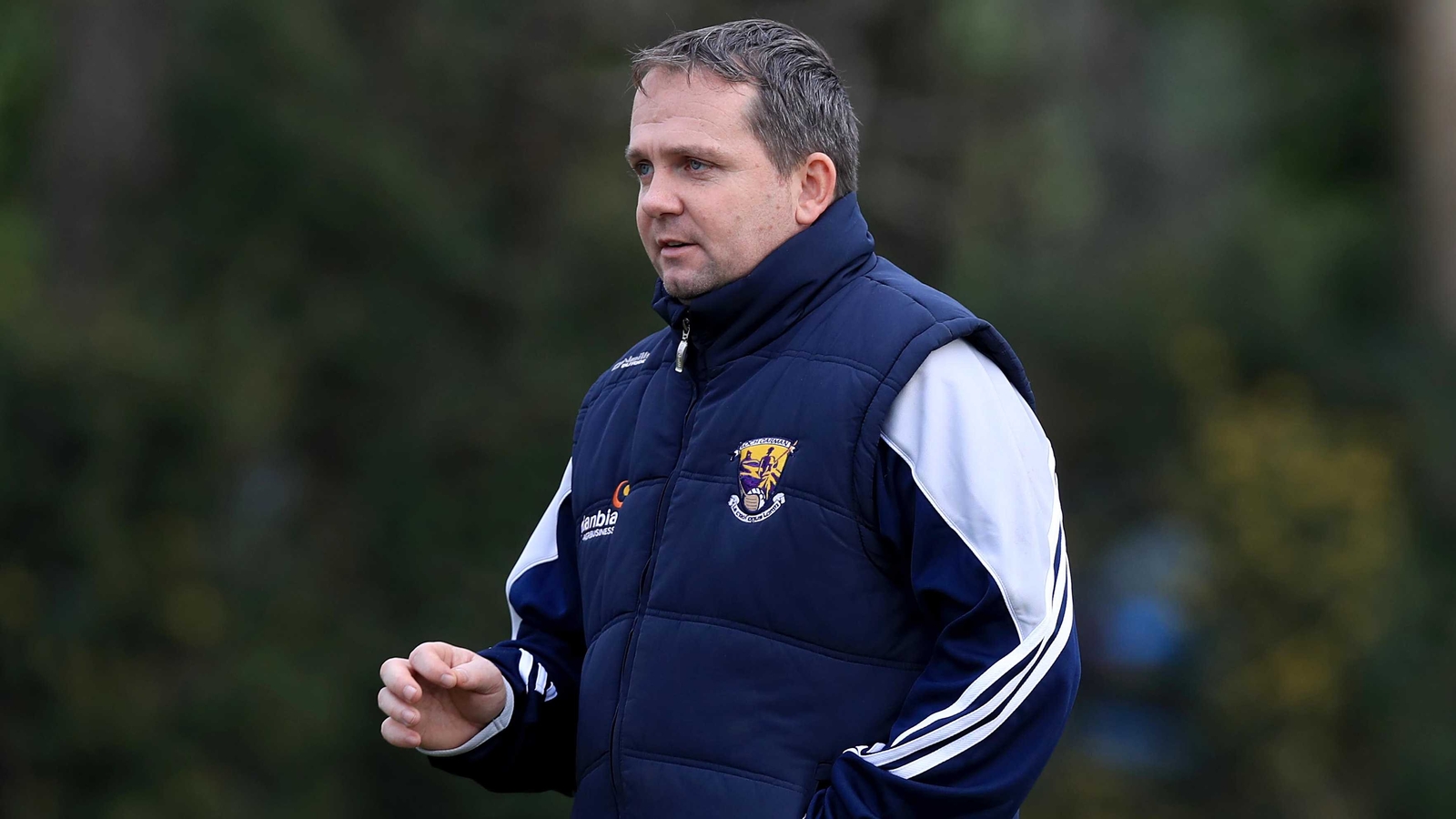 Davy brings the buzz back to Wexford, says Dempsey
