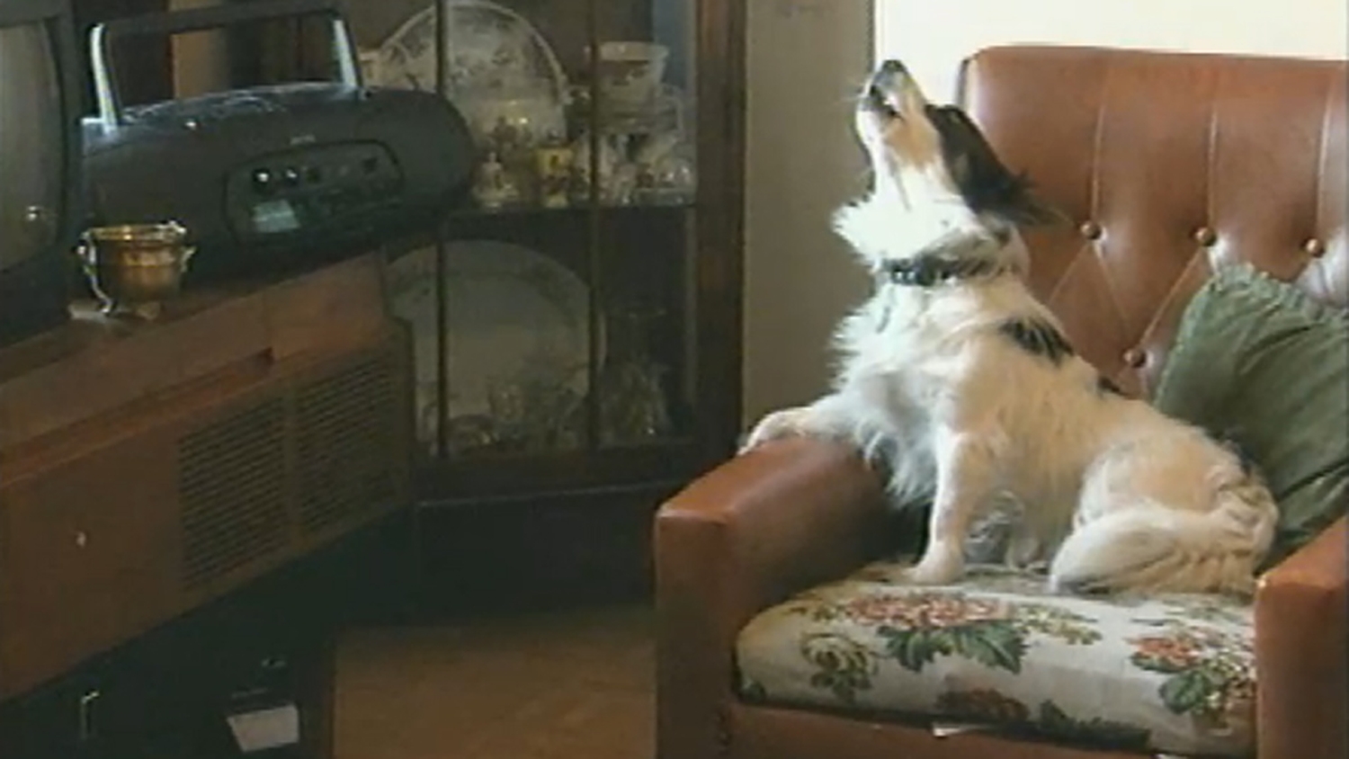 RTÉ Archives | Entertainment | Opera Singing Dog