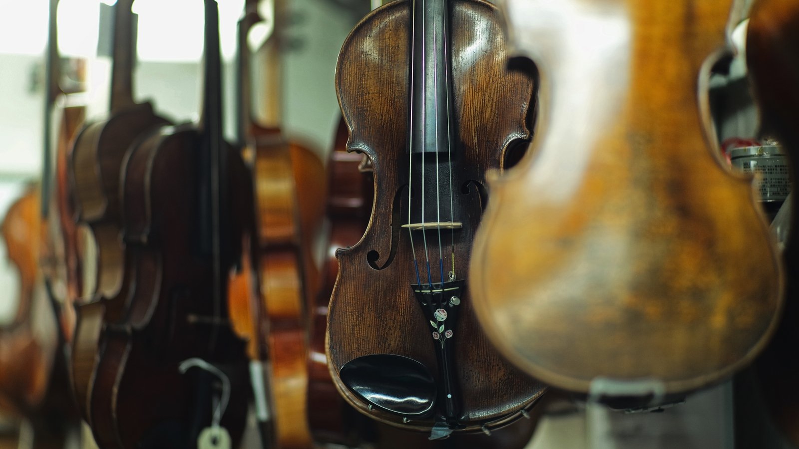 Woman 'smashed 54 violins' as marriage hit sour note