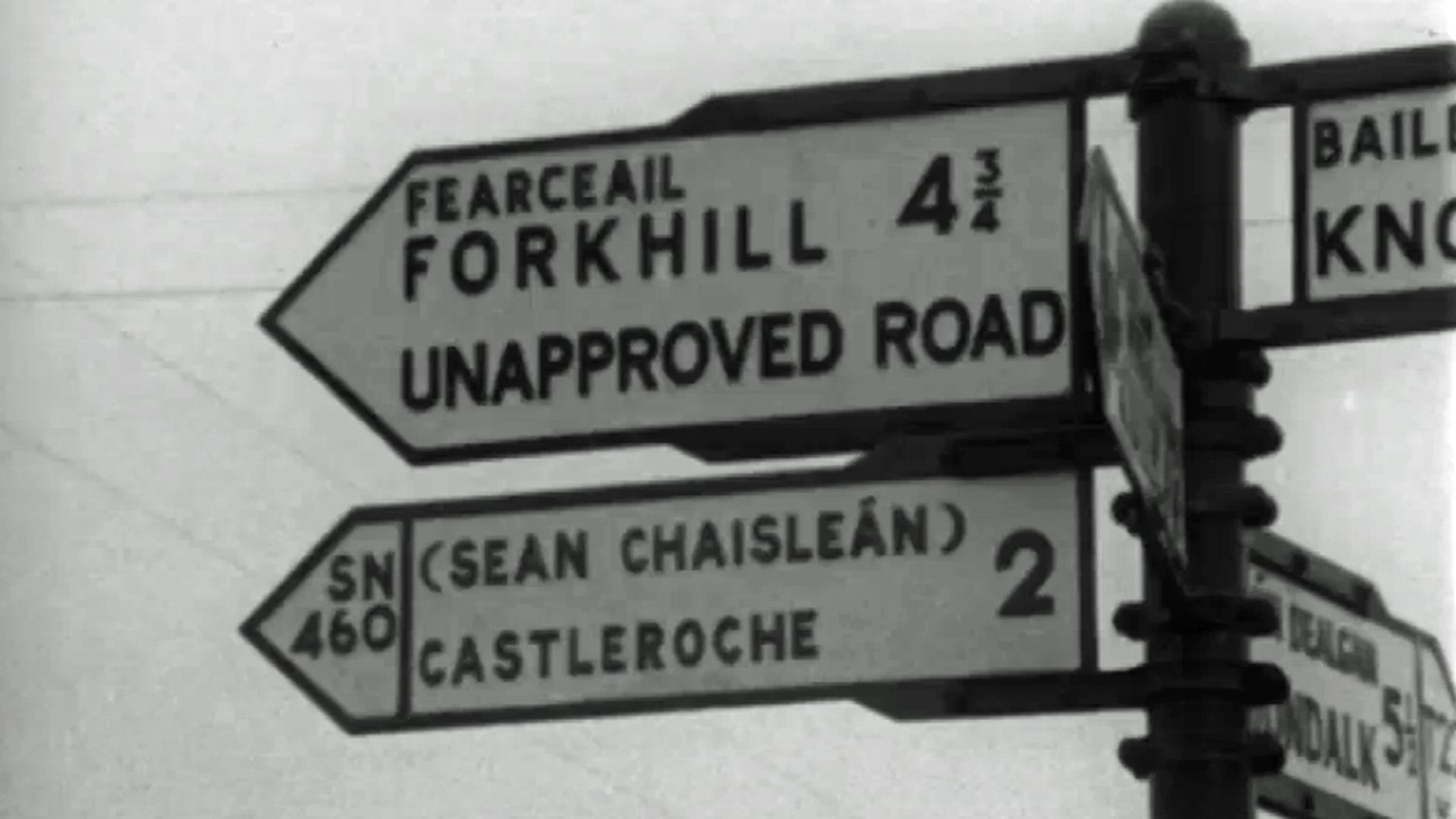 RTÉ Archives | Society | Cross Border Pig Smuggling