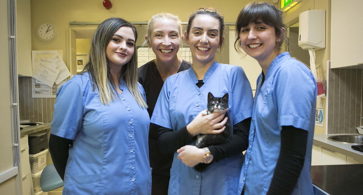 Cat Hospital | The Ray D'Arcy Show - RTÉ Radio 1