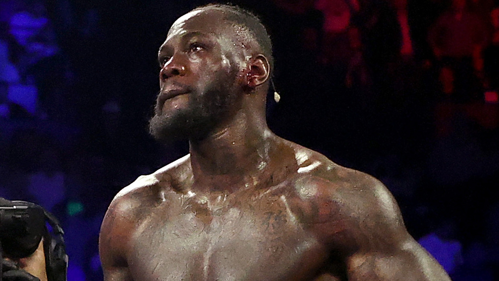 Wilder vows to 'rise like a phoenix from the ashes'