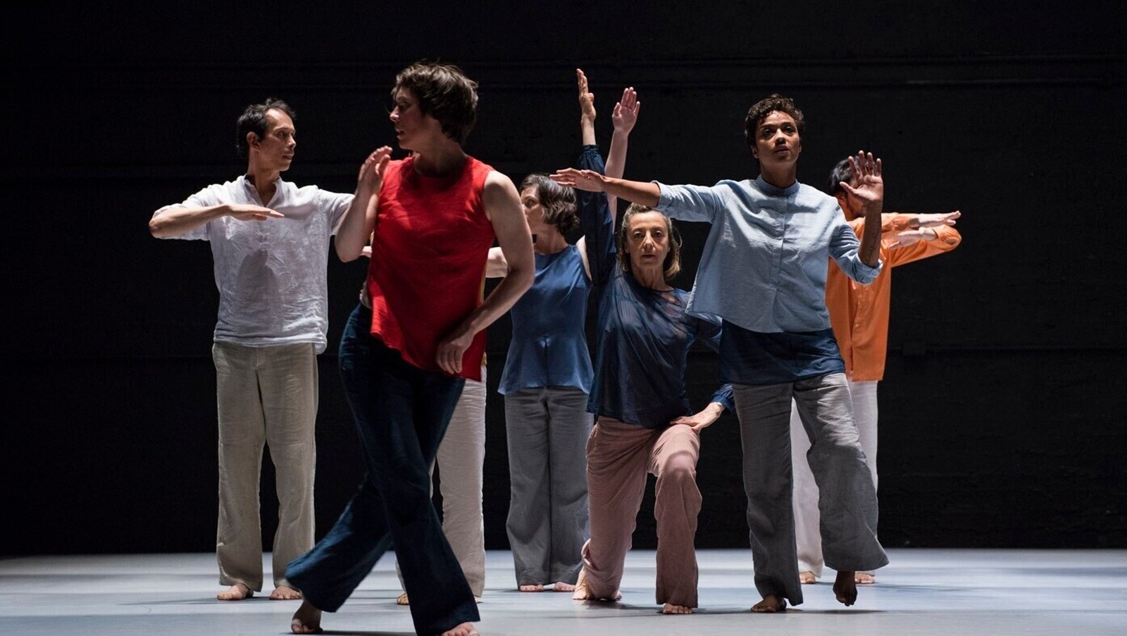 The Daily Distraction - stuff to watch, read and sing along to