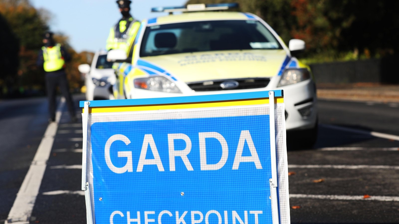 Call over access to driver records at garda checkpoints