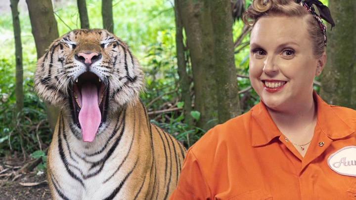 Body Brothers S02E14 - Cats - RTÉ Player