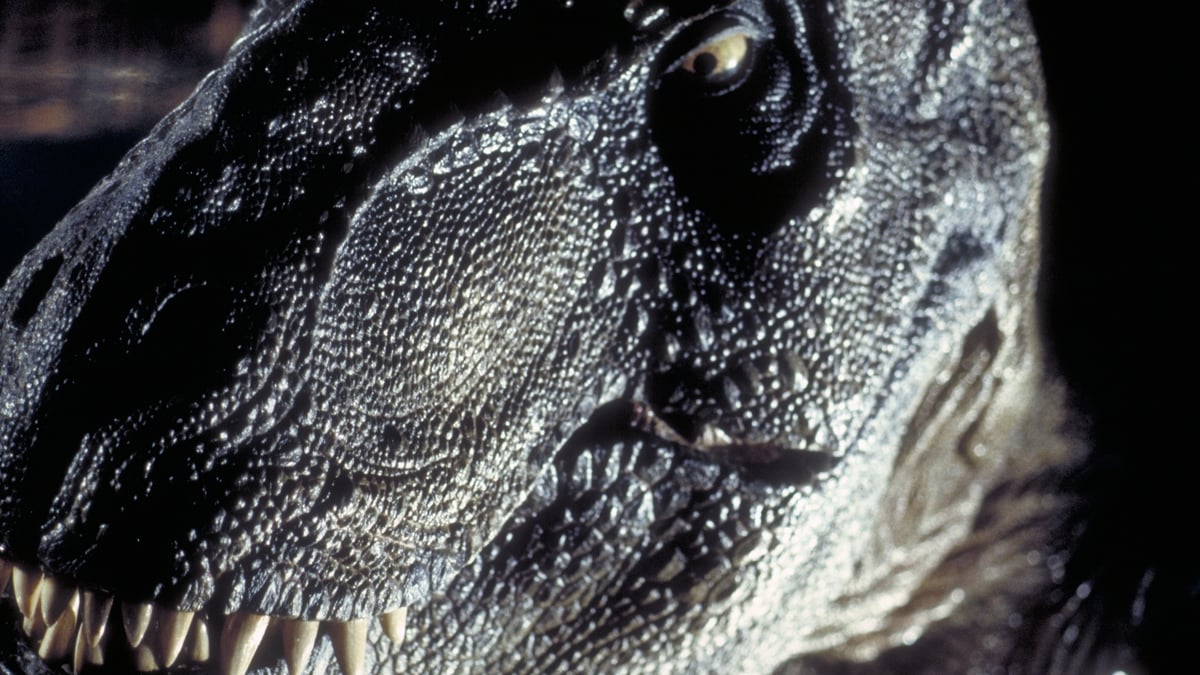 Shane Bergin Explains: Our love of dinosaurs | Today with Claire Byrne ...