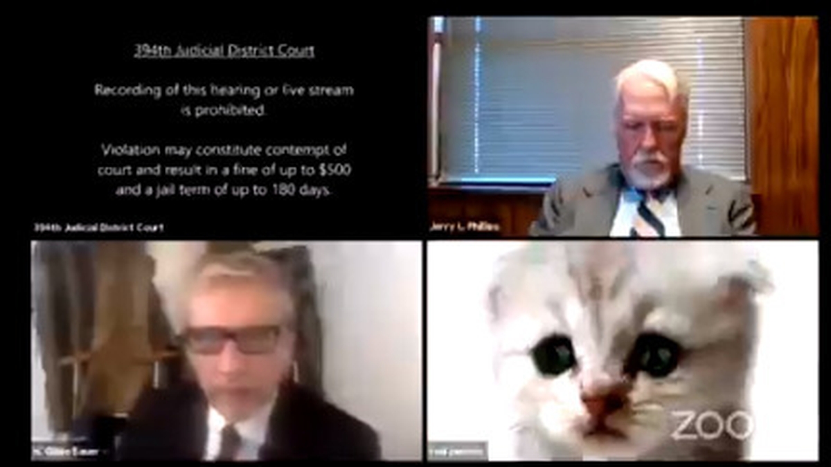 “I’m Not a Cat” | The Ray D'Arcy Show - RTÉ Radio 1