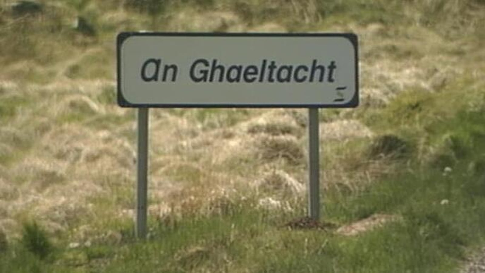 Daonáireamh 2022: 20,261 cainteoir laethúil Gaeilge sa Ghaeltacht