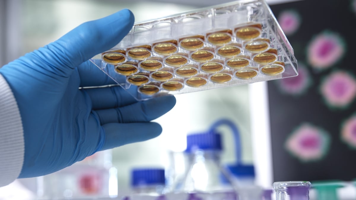 Dr. Mary Favier | Brendan O'Connor - RTÉ Radio 1