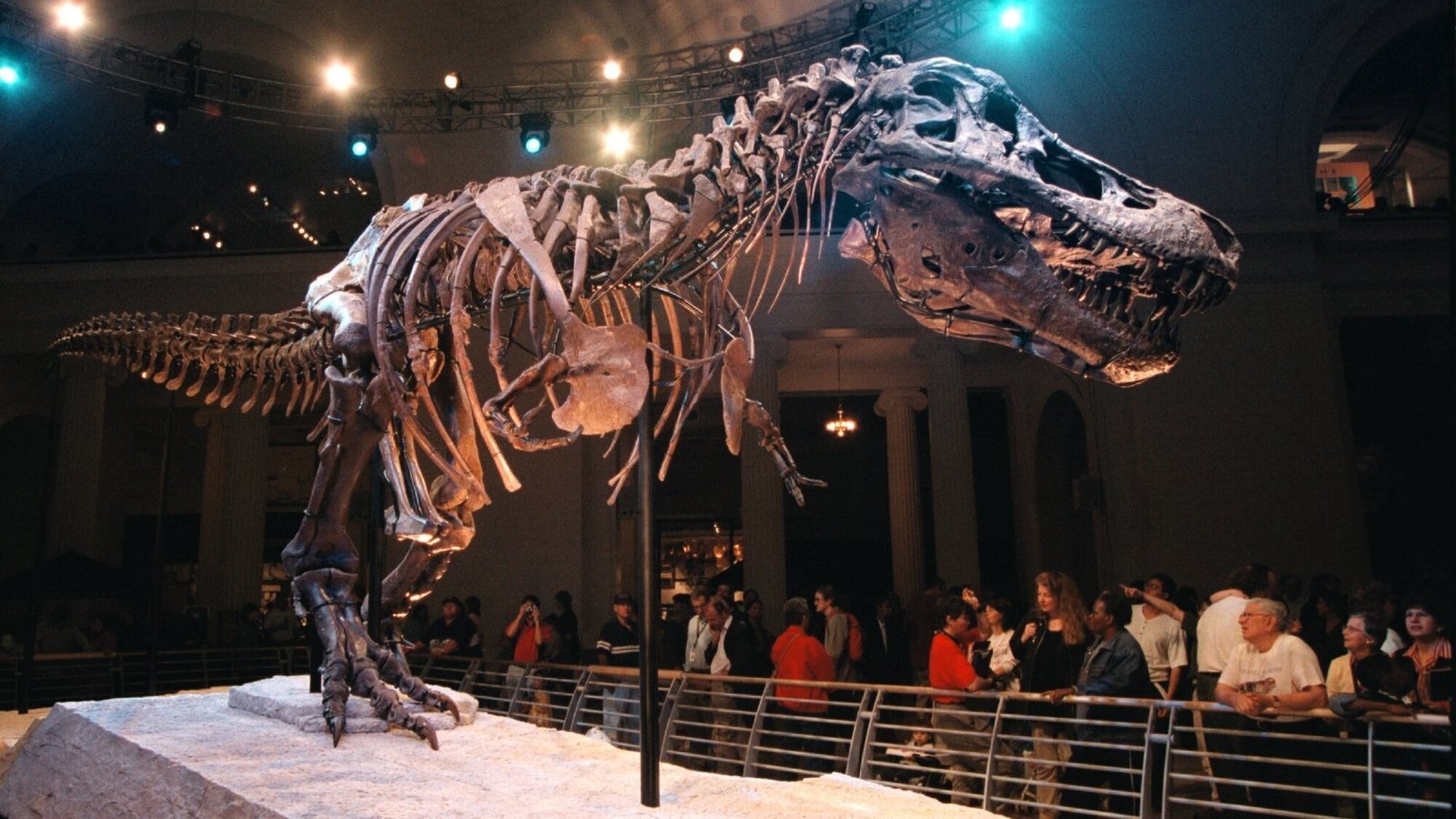 T-Rex Growth: 40 Years to 8 Tonnes – New Study Reveals - memesita.com ...