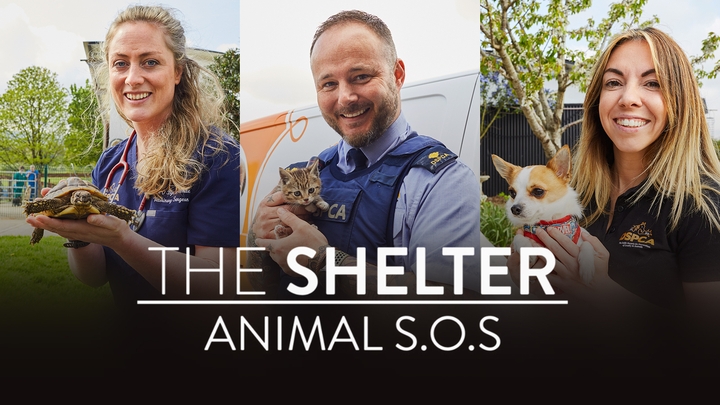 The Shelter: Animal SOS S04E01 - RTÉ Player