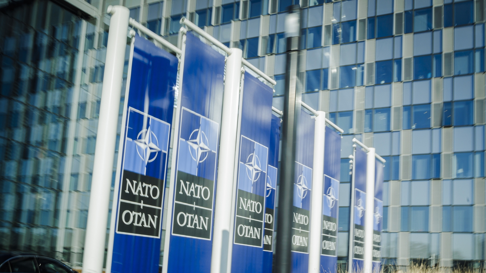 NATO: Is the future of the alliance female?