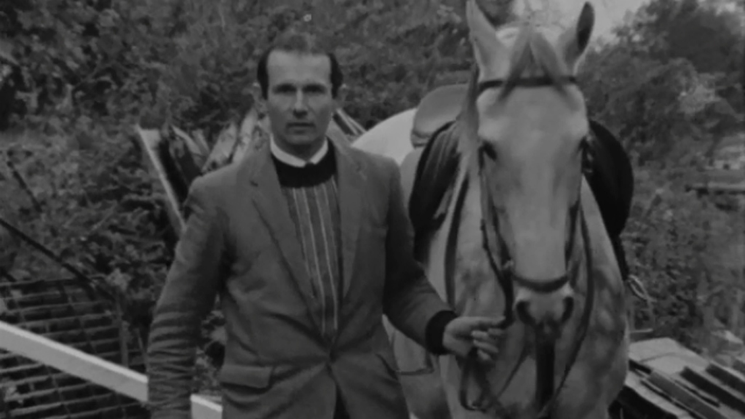 RTÉ Archives | Sports | Showjumper Tommy Wade