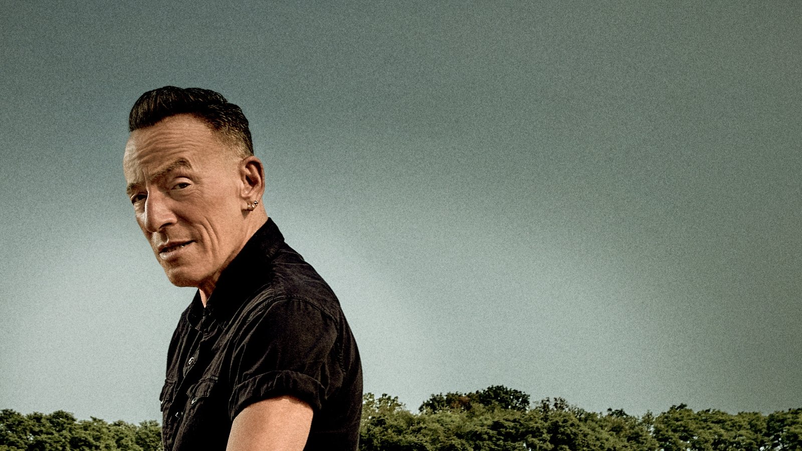 Cover me - David McCullagh on why Bruce Springsteen still matters