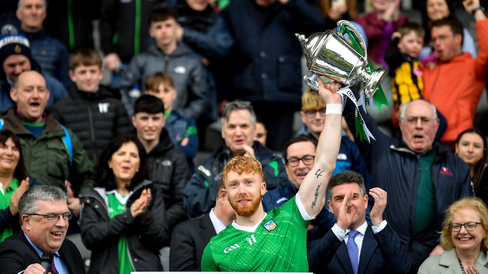 Classy Limerick claim league honours with ease