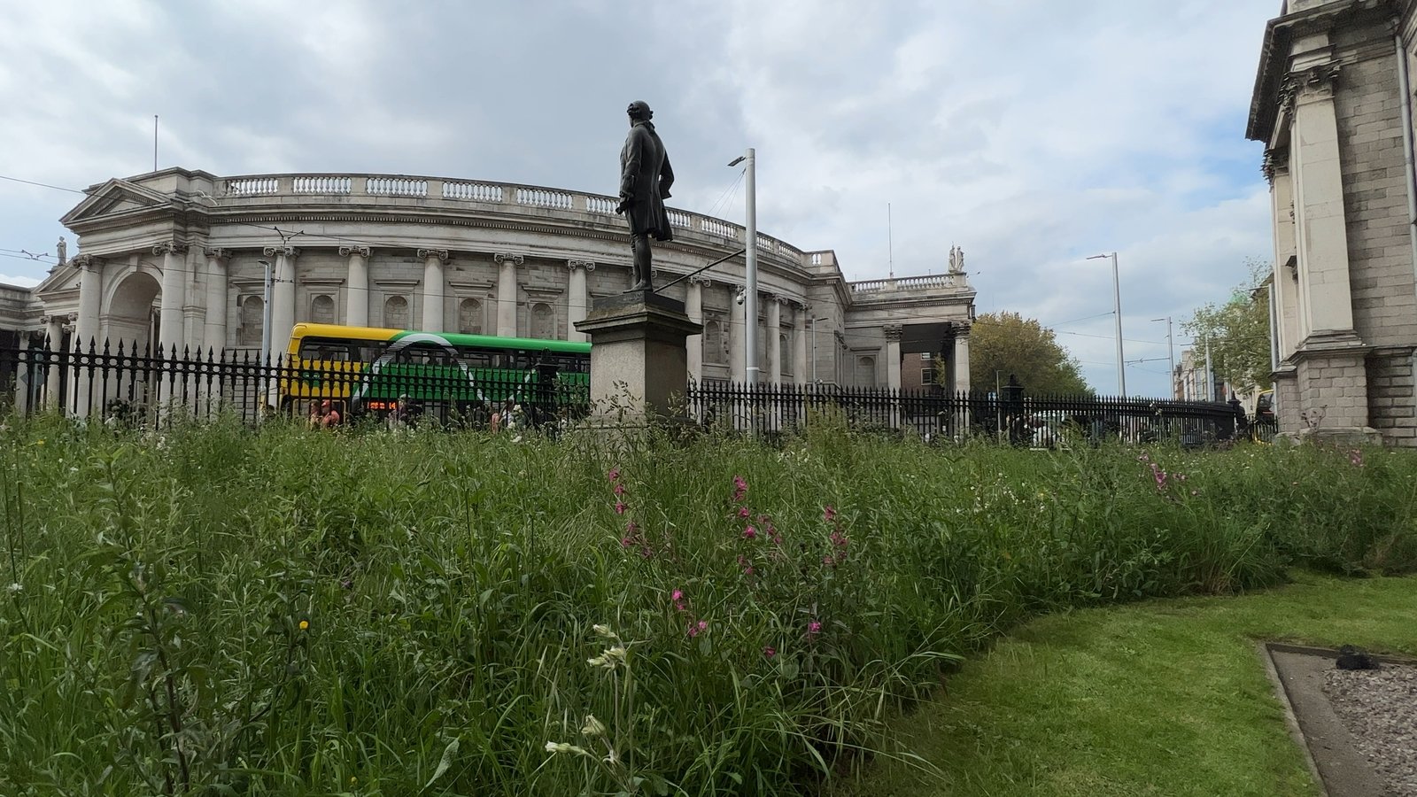Trinity wildflower meadow still creating a buzz