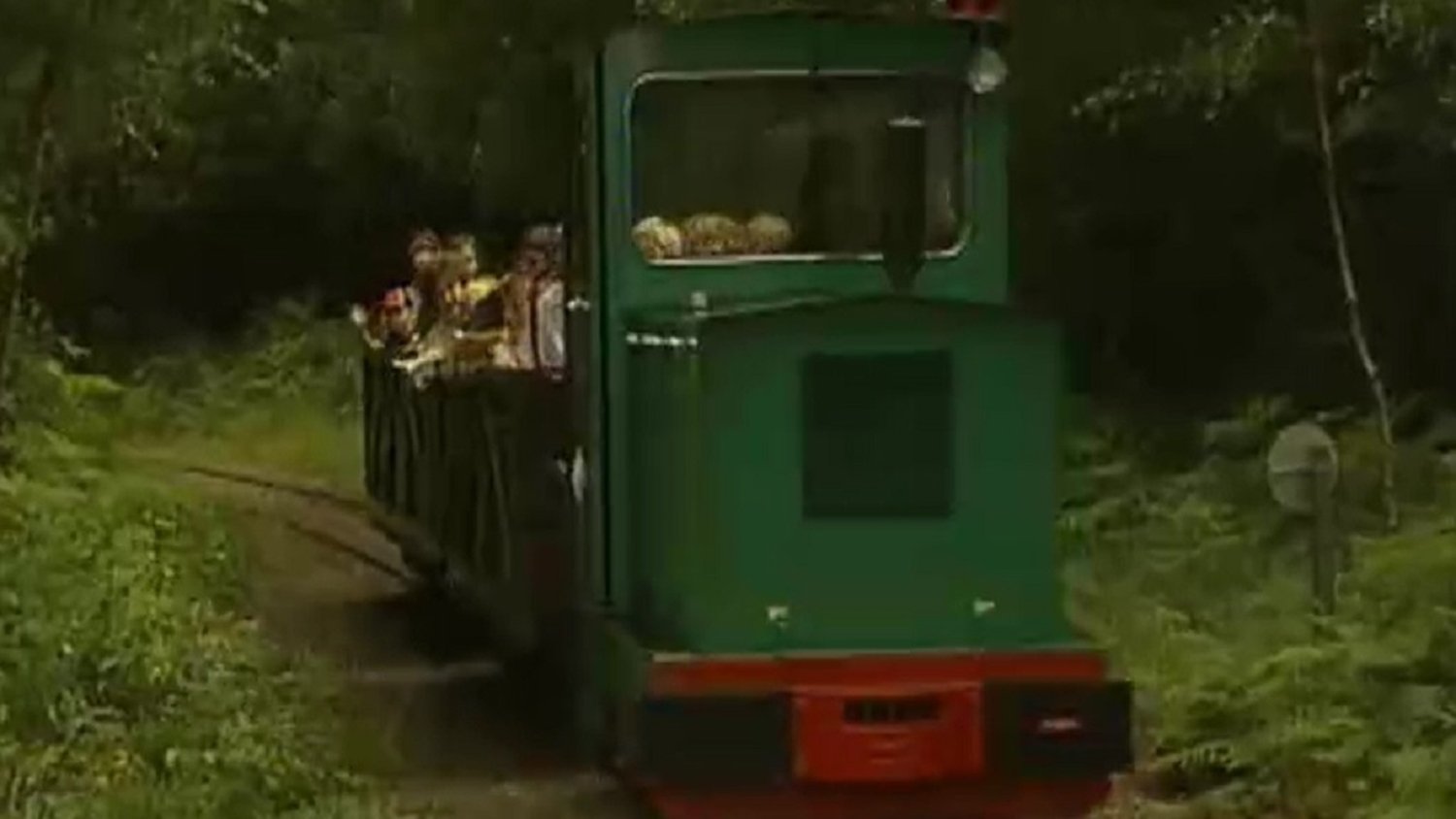 RTÉ Archives | Environment | International Bog Day