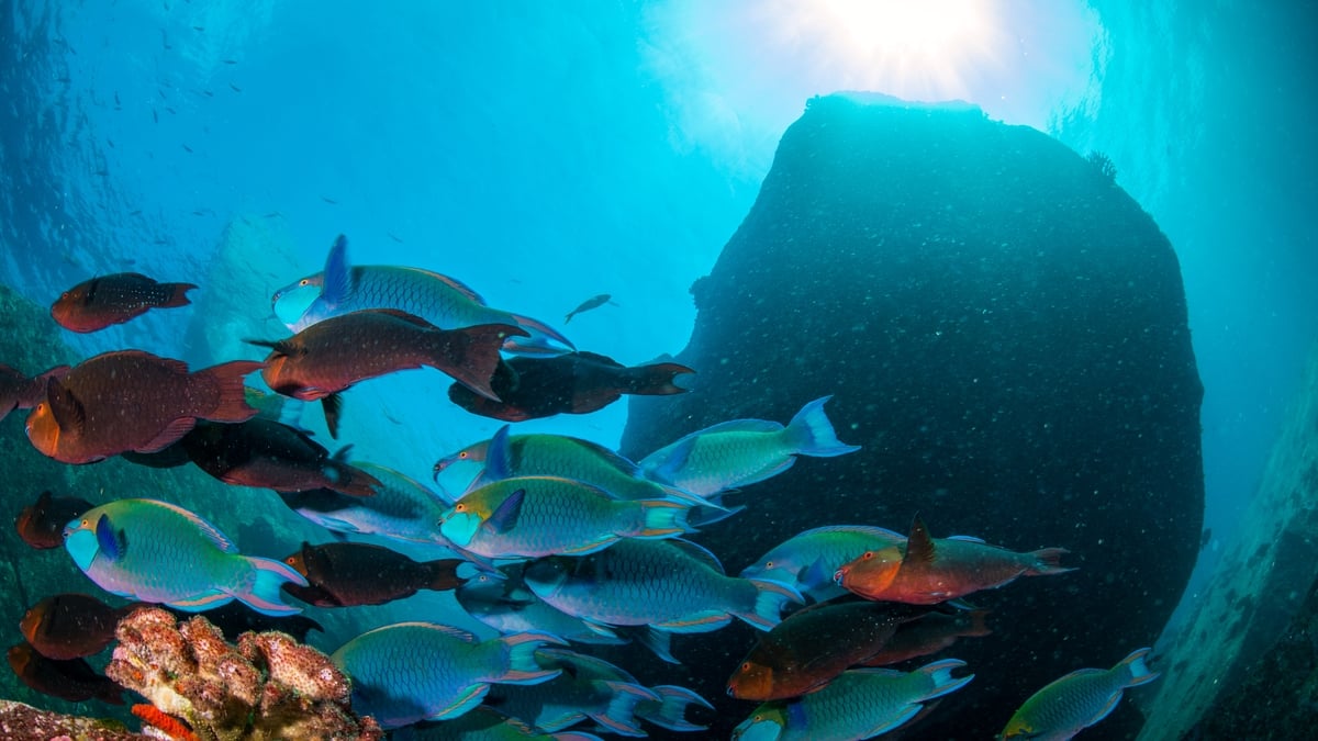 Mooney Goes Wild Monday 18 September 2023 - Mooney Goes Wild