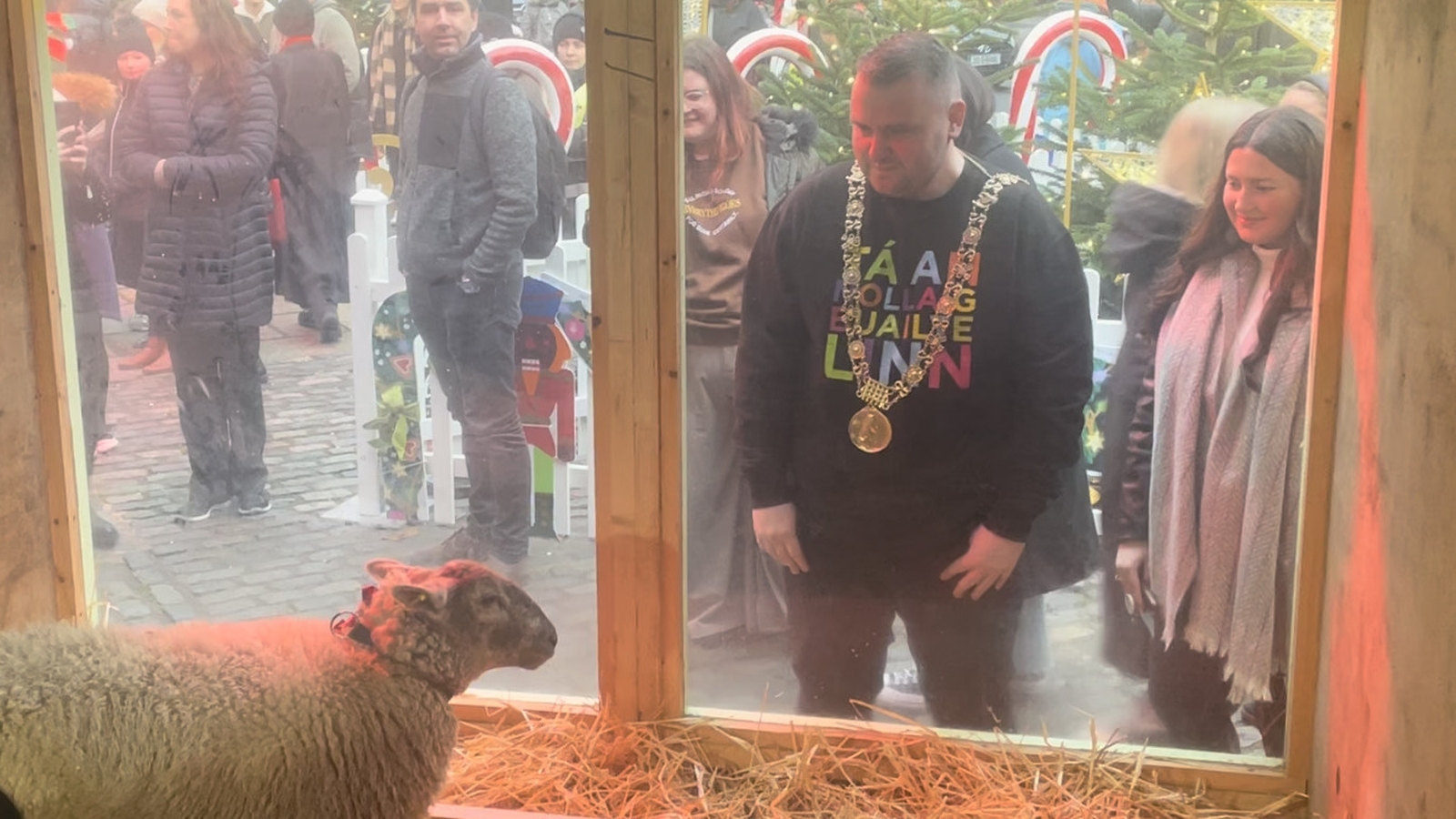 Live crib opens again at Dublin's Mansion House