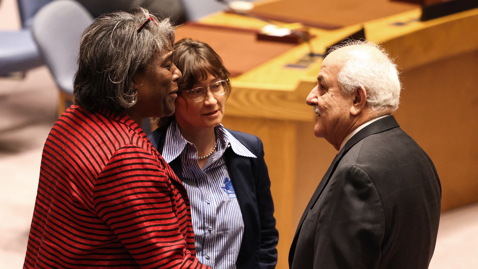 UN Security Council passes Gaza aid resolution