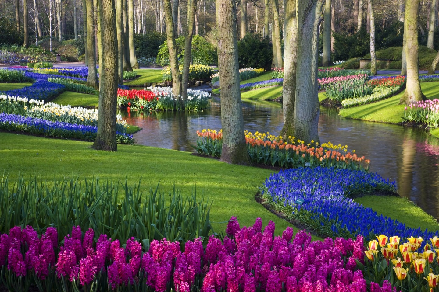 Most Beautiful Natural Gardens