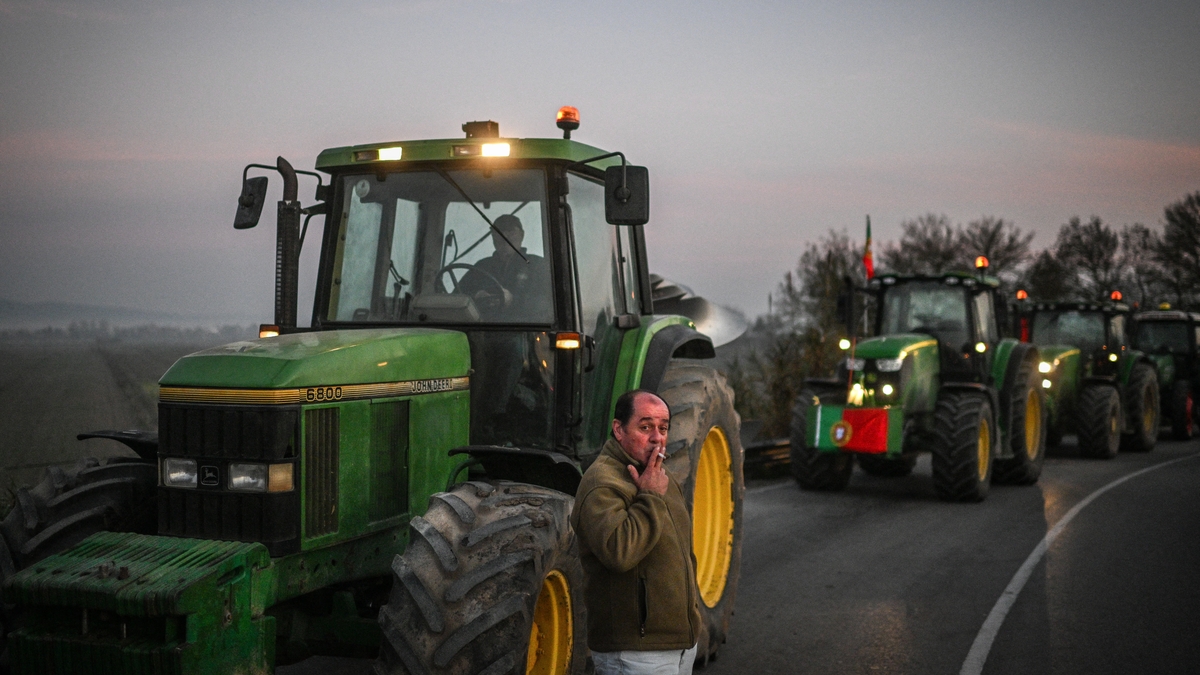 IFA to join Europe's farmers in protests at rising costs | News At One ...