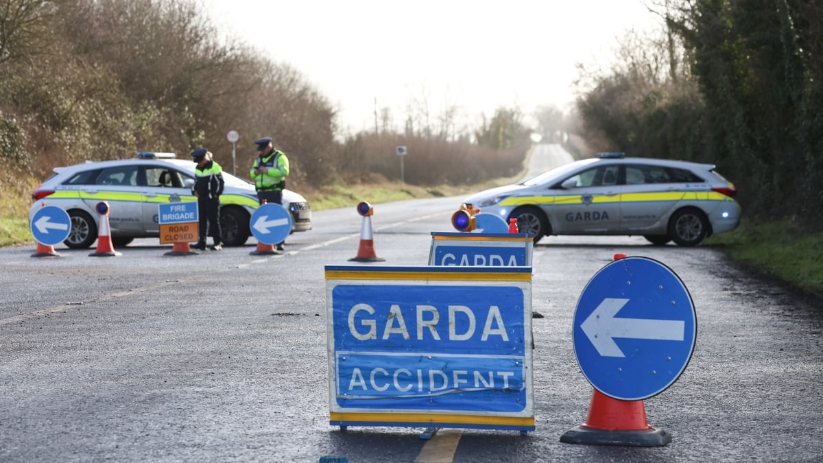 Community in shock as three killed in Carlow road crash | News At One ...