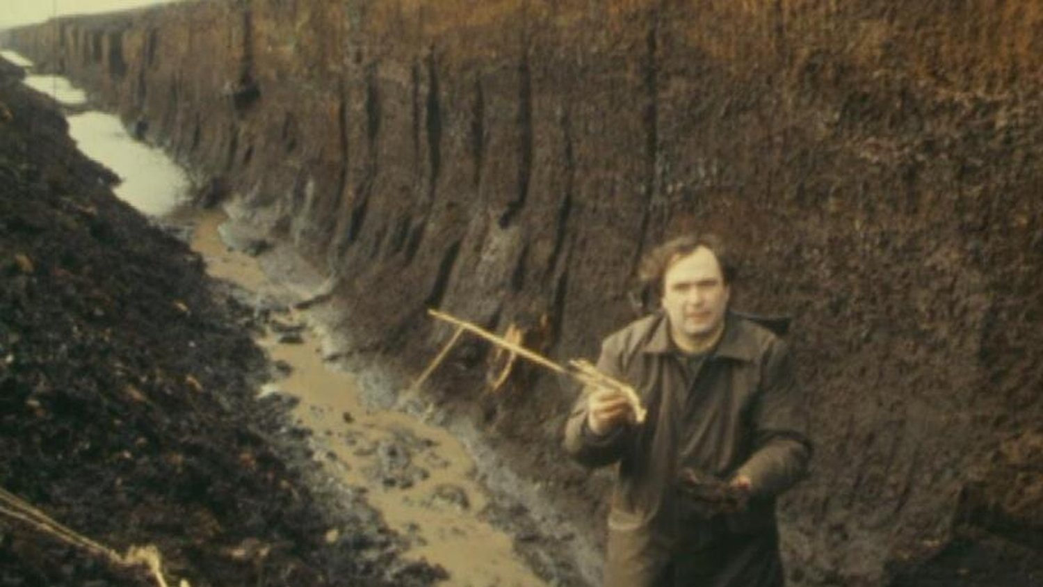 RTÉ Archives | Environment | How Bogs Are Formed