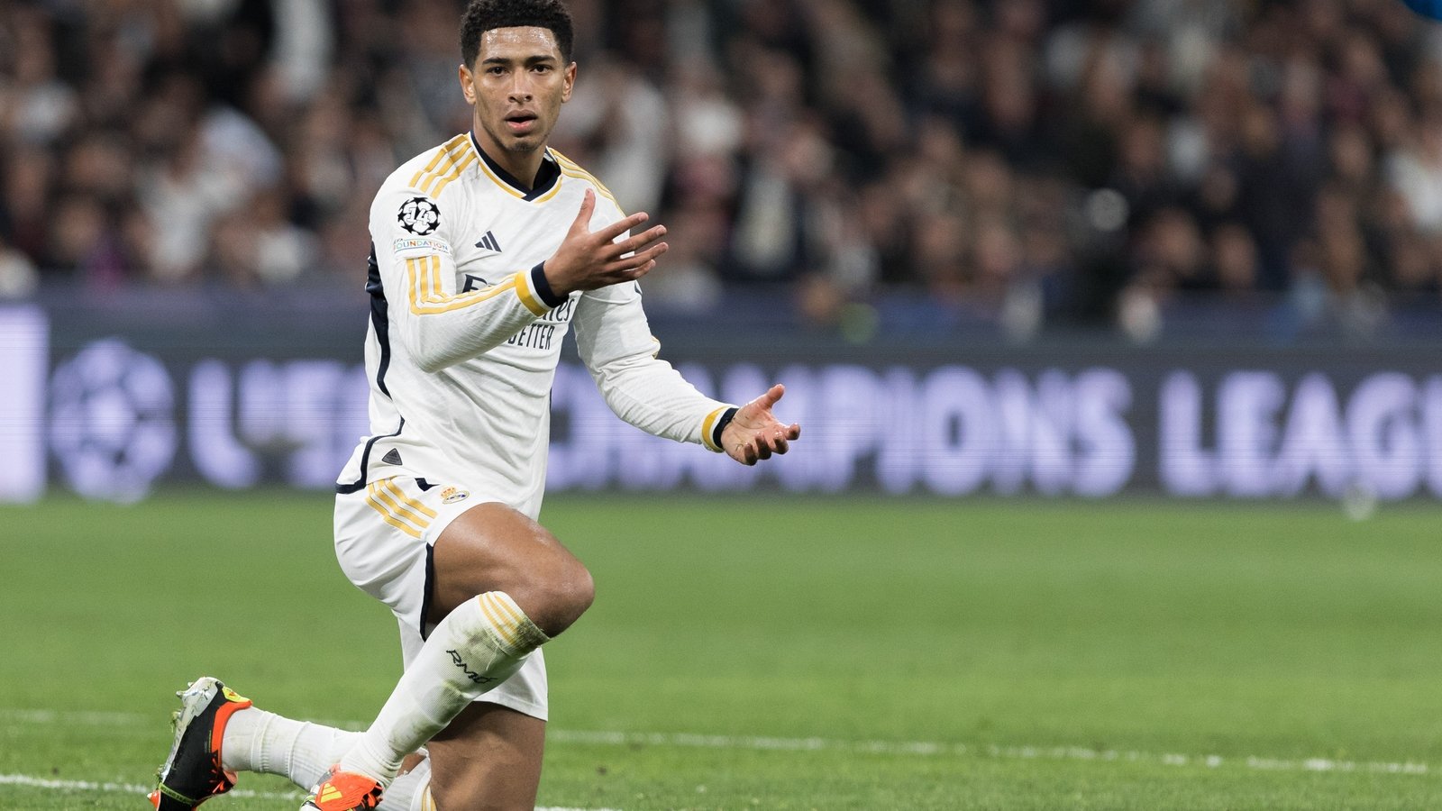 Bellingham bemused by 'ridiculous' two-match ban