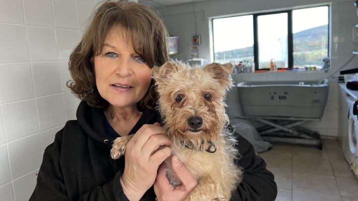 The Shelter: Animal SOS S04E05 - RTÉ Player