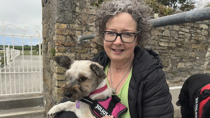 The Shelter: Animal SOS S04E06 - RTÉ Player