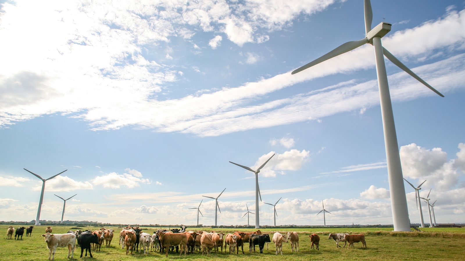 New wind farm planning guidelines by year end - Taoiseach