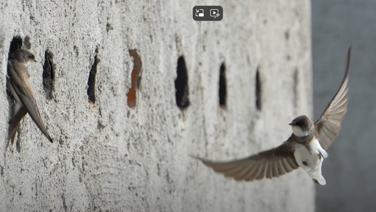 Mooney Goes Wild | Mooney Goes Wild - RTÉ Radio 1