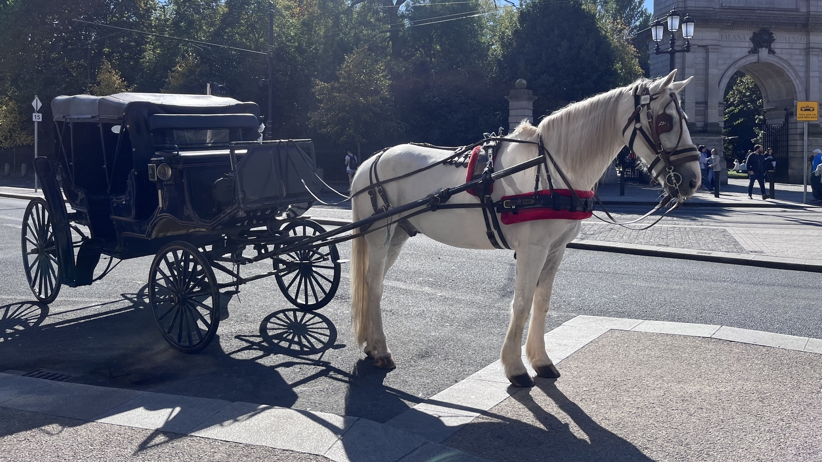 'Accident waiting to happen' - call over Dublin carriages