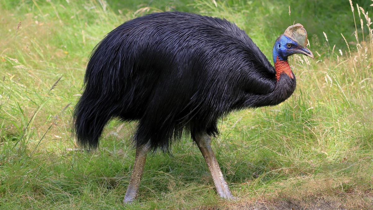 Mooney Goes Wild Monday 30 September 2024 - Mooney Goes Wild