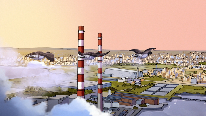 Where The Wild Geese Go S01E02 - Meet the Scientists - RTÉ Player